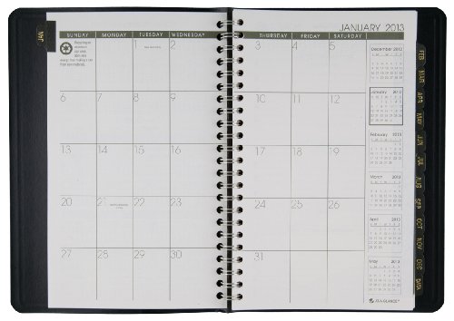 AT-A-GLANCE Recycled Weekly/Monthly Desk Appointment Book, 5 x 8 Inches, Black, 2013 (70-100G-05)