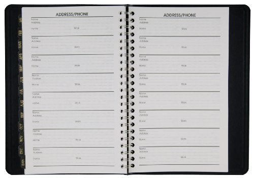AT-A-GLANCE Recycled Weekly/Monthly Desk Appointment Book, 5 x 8 Inches, Black, 2013 (70-100G-05)