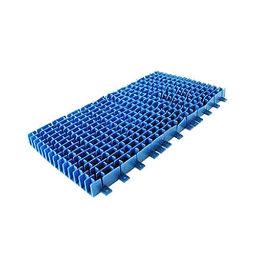 Dolphin Genuine Replacement Part — Front and Rear Light Blue Brushes (2PK) — Part Number 6101609-R2