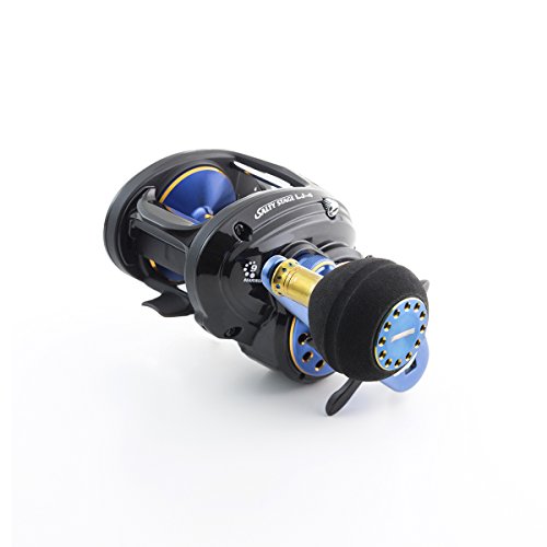 Abu Garcia REVO SALTY STAGE LJ-4 [Japan Import]