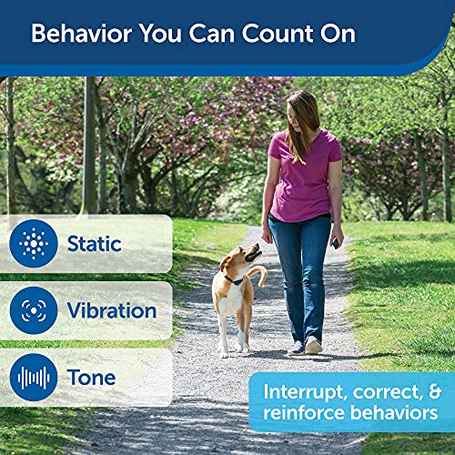 PetSafe Add-A-Dog Remote Training Collar β Perfect for Small, Medium and Large Dogs β Choose from Tone, Vibration, or 15 Levels of Static Stimulation β Waterproof and Durable β Rechargeable
