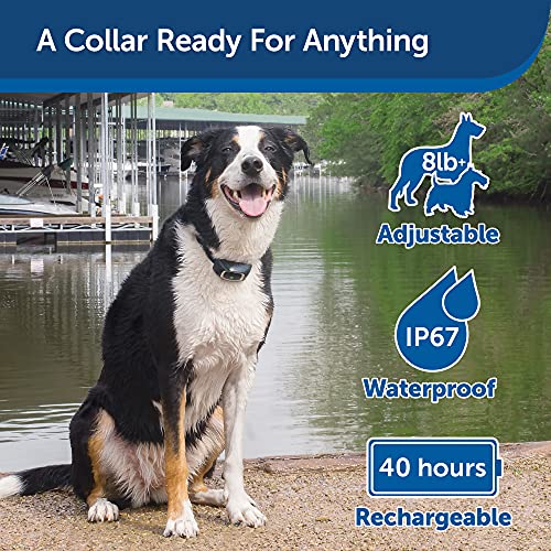 PetSafe Add-A-Dog Remote Training Collar β Perfect for Small, Medium and Large Dogs β Choose from Tone, Vibration, or 15 Levels of Static Stimulation β Waterproof and Durable β Rechargeable