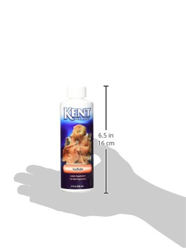 Kent Marine Concentrated Iodide Supplement, 8-Ounce Bottle