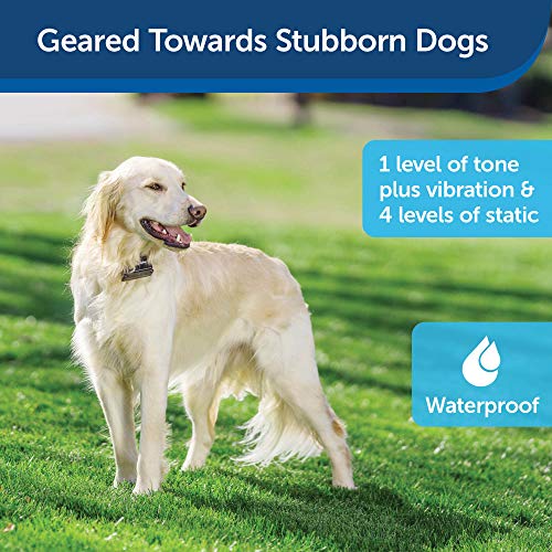 PetSafe Stubborn Dog Receiver Collar, In-Ground Fence Collar, Waterproof, with Tone, Vibration and Static Correction for dogs 8lb and Up - Not Compatible with YardMax and UltraSmart