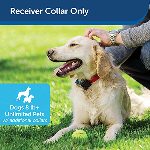 PetSafe Stubborn Dog Receiver Collar, In-Ground Fence Collar, Waterproof, with Tone, Vibration and Static Correction for dogs 8lb and Up - Not Compatible with YardMax and UltraSmart