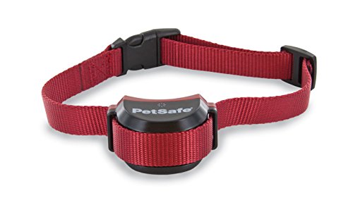 PetSafe Stay + Play Wireless Dog Fence for 2 Dogs: Large/Stubborn Dogs