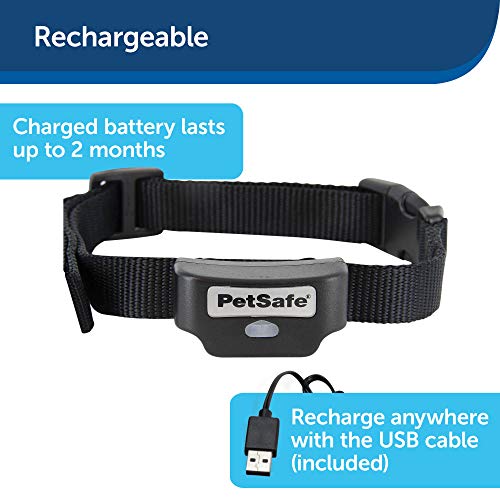 PetSafe Collar for In Ground Receiver Fence with Charger