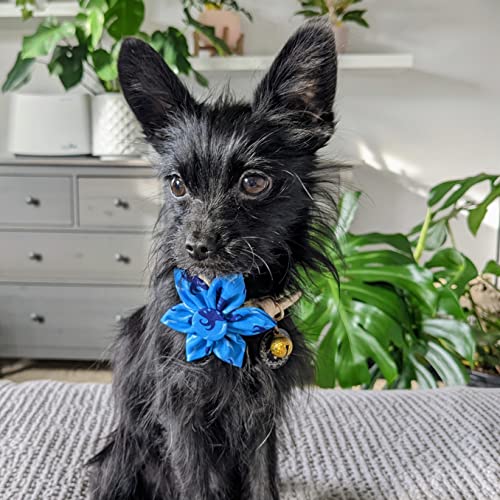 H&K Pet Pinwheel | Octopus Garden (Large) | Velcro Collar Accessory for Dogs/Cats | Fun Pet Pinwheel Collar Attachment | Cute, Comfortable Pet Accessory