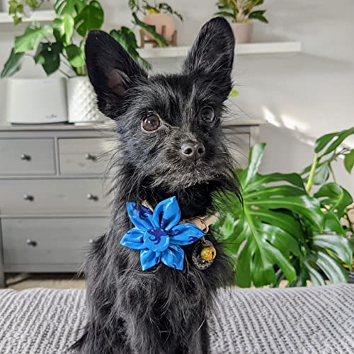 H&K Pet Pinwheel | Octopus Garden (Large) | Velcro Collar Accessory for Dogs/Cats | Fun Pet Pinwheel Collar Attachment | Cute, Comfortable Pet Accessory