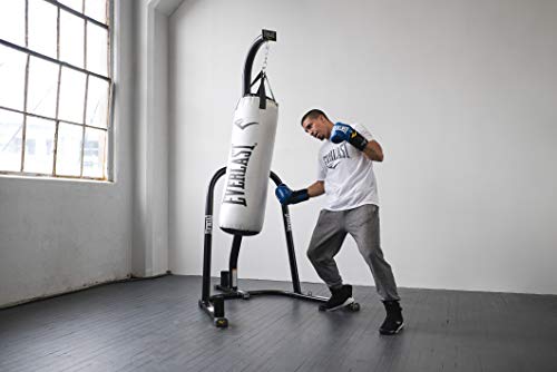 Everlast 70lb Platinum Heavy Bag