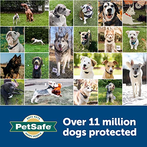 PetSafe Stay & Play Compact Wireless Pet Fence, LCD Screen to Adjust Circular Boundary, Secure up to 3/4 Acre Area, Use for All Your Pets, Portable System from the Parent Company of INVISIBLE FENCE