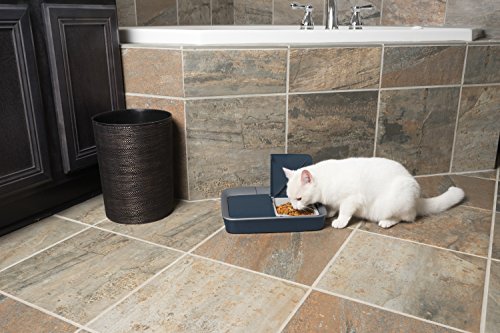 PetSafe Digital 2 Meal Programmable Pet Feeder, Automatic Dog and Cat Feeder - Dry or Semi-Moist Pet Food Dispenser, Slow Feed Portion Control (3 Cup/16 Ounce), Tamper-Resistant, Dishwasher Safe