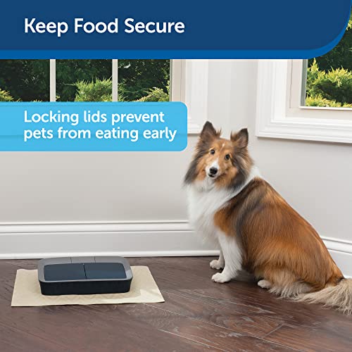 PetSafe Digital 2 Meal Programmable Pet Feeder, Automatic Dog and Cat Feeder - Dry or Semi-Moist Pet Food Dispenser, Slow Feed Portion Control (3 Cup/16 Ounce), Tamper-Resistant, Dishwasher Safe