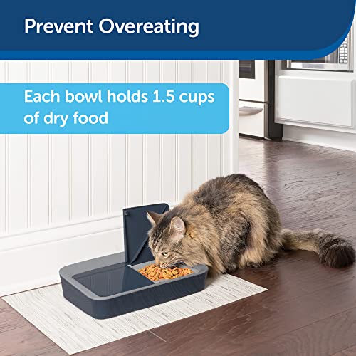 PetSafe Digital 2 Meal Programmable Pet Feeder, Automatic Dog and Cat Feeder - Dry or Semi-Moist Pet Food Dispenser, Slow Feed Portion Control (3 Cup/16 Ounce), Tamper-Resistant, Dishwasher Safe