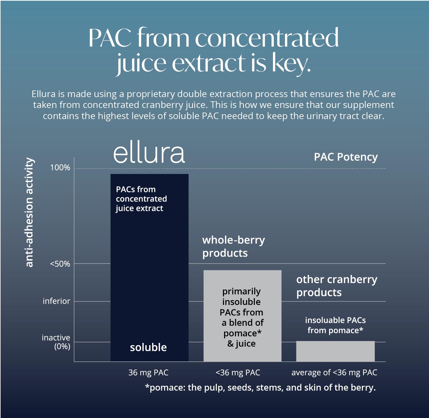 Solv Wellness Ellura Clinically Proven Cranberry Supplement: Get Ahead of UTIs with 36mg of 100% Bioavailable PAC, 30 Capsules
