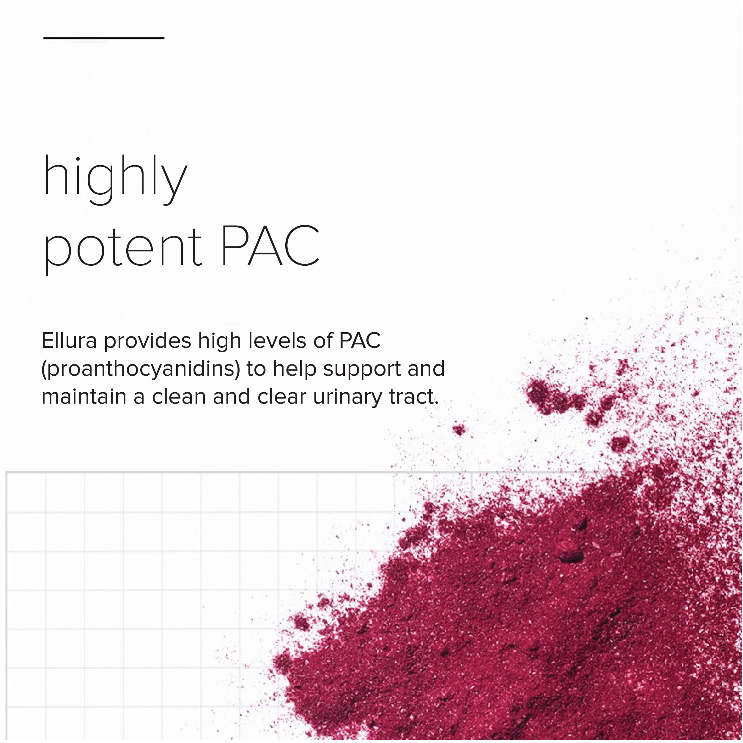 Solv Wellness Ellura Clinically Proven Cranberry Supplement: Get Ahead of UTIs with 36mg of 100% Bioavailable PAC, 30 Capsules