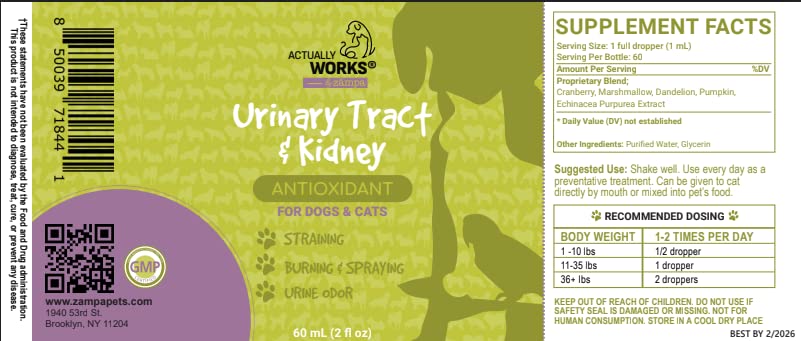 Zampa Urinary Tract Infection Treatment for Dogs and Cats - UTI Medicine Fast Relief Antioxidant, Kidney + Bladder Support -2 oz (60ml)