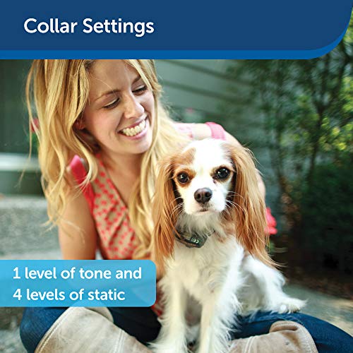 PetSafe Elite Little Dog In-Ground Pet Fence and Waterproof Receiver Collar, Tone and Static Correction, for Pets 5 lb. and Up, Reflective Collar Strap
