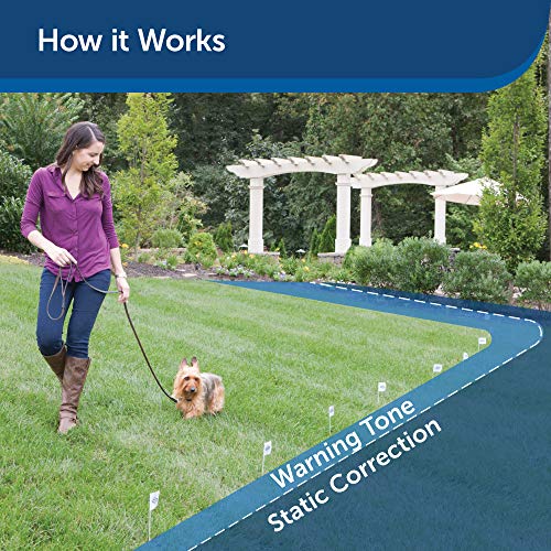 PetSafe Elite Little Dog In-Ground Pet Fence and Waterproof Receiver Collar, Tone and Static Correction, for Pets 5 lb. and Up, Reflective Collar Strap