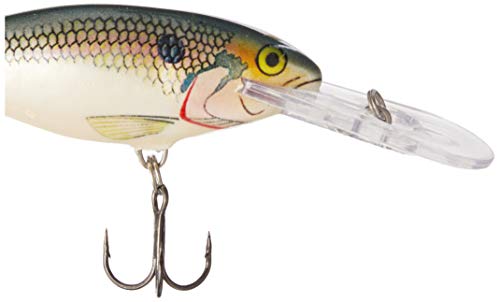 Rapala Shad Rap 07 Fishing lure (Shad, Size- 2.75)