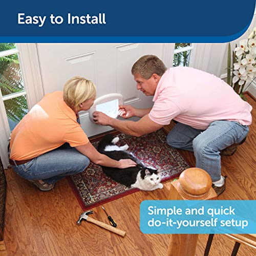 PetSafe Exterior / Interior Cat Door: Staywell Big Cat 4-Way Locking Pet Door Flap for Large Cats - Tinted Privacy Door - Weatherproof, Durable Door Frame - DIY Easy Install with Hardware Kit Included