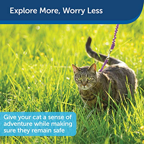 PetSafe Come With Me Kitty Harness and Bungee Leash, Harness for Cats, Large, Lilac/Bright Purple