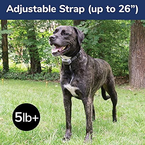 Free Spirit In-Ground Fence Add-A-Dog Collar - Additional, Extra or Replacement Shock Collar with Tone/Vibrate and Shock