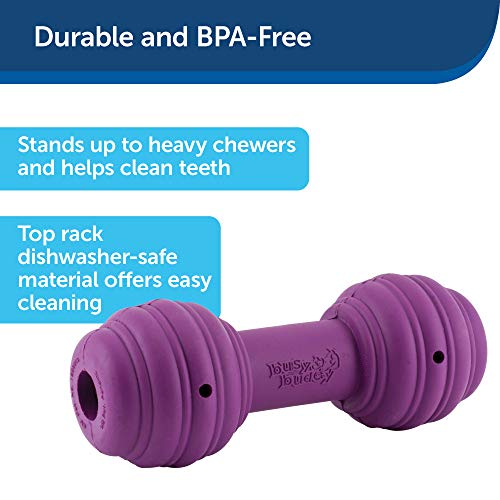 PetSafe Busy Buddy Chuckle Sound Dog Chew Toy - Treat Dispenser, BB-CHK, Purple,Medium/Large