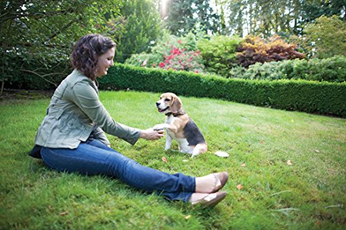 PetSafe Elite Little Dog In-Ground Fence Receiver Collar, for Dogs Over 5lb, Waterproof with Tone and Static Correction
