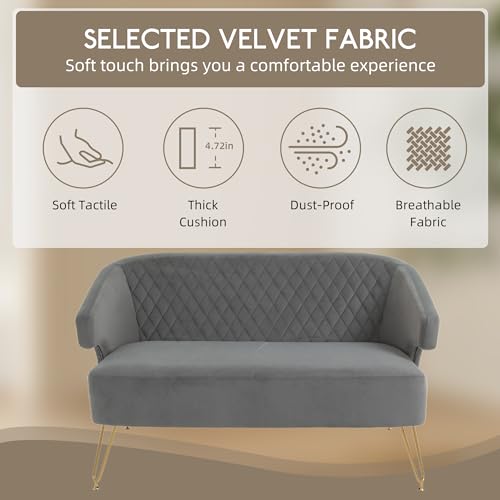 QQU Modern Velvet Loveseat Sofa, Comfy Upholstered Seat Couch with Metal Legs, 2-Seater Accent Sofa Chair, Living Room Sofa with Tufted Backrest, Grey