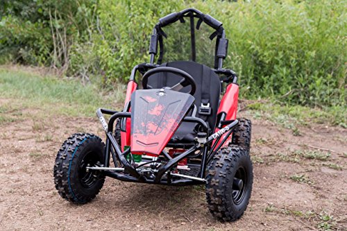Coleman Powersports 98cc/3.0HP CK100-S Go Kart, 13 inches
