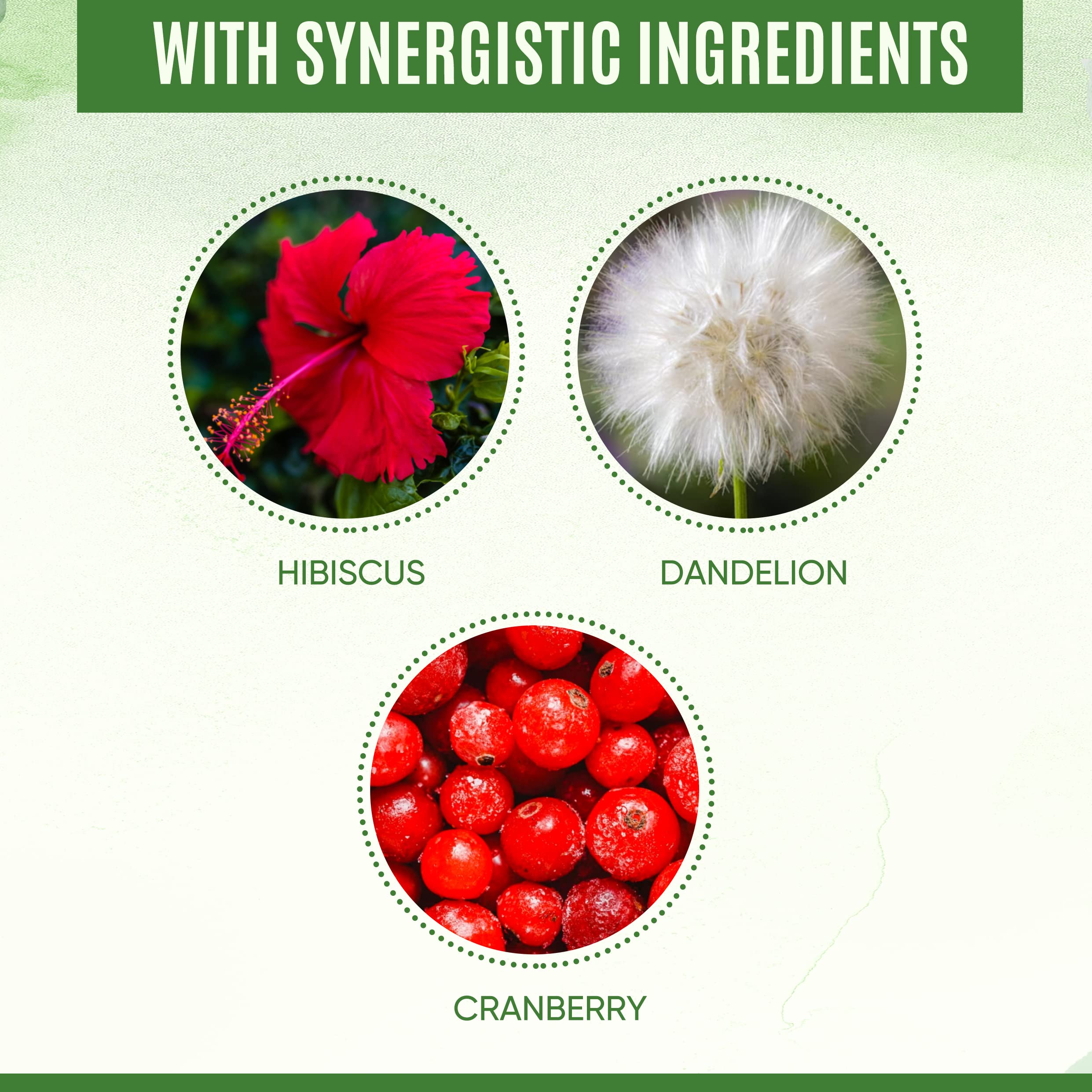 YEVANI 100% Pure D-Mannose Capsules 1000 mg with Cranberry, Hibiscus, and Dandelion Extract, Fast Acting Professional UTI Prevention Formula for Urinary Tract Health and Bladder Support