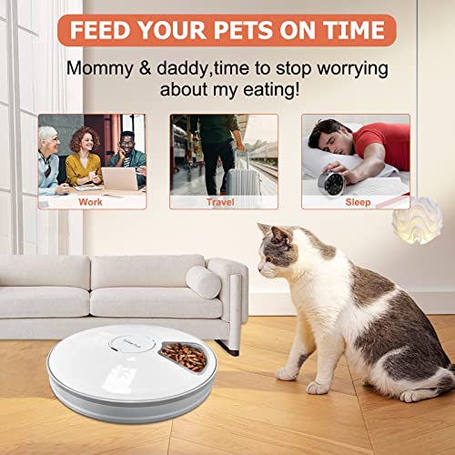 Pets Automatic Timed Pet Feeder,4pawslife 6 Meal Food Dispenser for Dogs, Cats & Small Animals Auto Feeder with Music