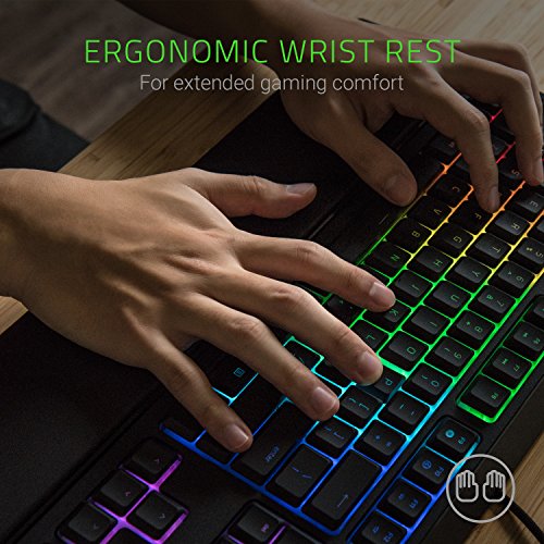 Razer RZ01-02410100-R3U1 19-Button Gaming Mouse, Black & Razer Ornata RGB Mecha-Membrane Keyboard, Black