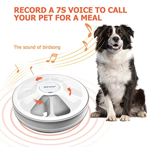 Pets Automatic Timed Pet Feeder,4pawslife 6 Meal Food Dispenser for Dogs, Cats & Small Animals Auto Feeder with Music
