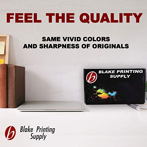 Blake Printing Supply Compatible Ink Cartridge Replacement for Brother LC201, LC203 (Black, Cyan, Magenta, Yellow, 10-Pack)