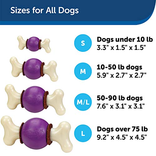PetSafe Busy Buddy Bouncy Bone - Treat-Holding Toys for Dogs - Scented for Enhanced Sensory Stimulation - Rigorously Tested Ingredients - For Aggressive Chewers - Treat Refills Available - Purple, M/L