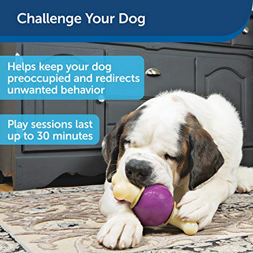 PetSafe Busy Buddy Bouncy Bone - Treat-Holding Toys for Dogs - Scented for Enhanced Sensory Stimulation - Rigorously Tested Ingredients - For Aggressive Chewers - Treat Refills Available - Purple, M/L