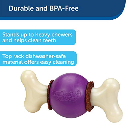 PetSafe Busy Buddy Bouncy Bone - Treat-Holding Toys for Dogs - Scented for Enhanced Sensory Stimulation - Rigorously Tested Ingredients - For Aggressive Chewers - Treat Refills Available - Purple, M/L