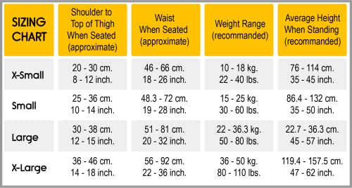 RideSafer - Small Blue, Lightweight, Compact, Portable Car Seat - Perfect for Travel and Everyday Child Safety