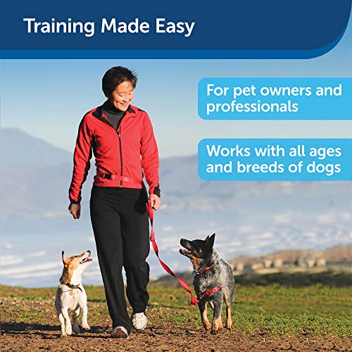 PetSafe Treat & Train - Remote Treat Dispensing Dog Training System, Positive Reinforcement, Calm Behavior, Distraction Avoidance, Includes Training DVD, Target Wand & Remote, For Dogs 6 Months & Up