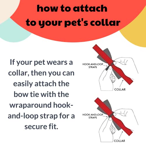 Huxley & Kent Pet Bow Tie | Blue Madras (Large) | Easter Pet Bow Tie Collar Attachment | Fun Bow Ties for Dogs & Cats | Cute, Comfortable, and Durable