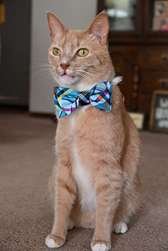 Huxley & Kent Pet Bow Tie | Blue Madras (Large) | Easter Pet Bow Tie Collar Attachment | Fun Bow Ties for Dogs & Cats | Cute, Comfortable, and Durable
