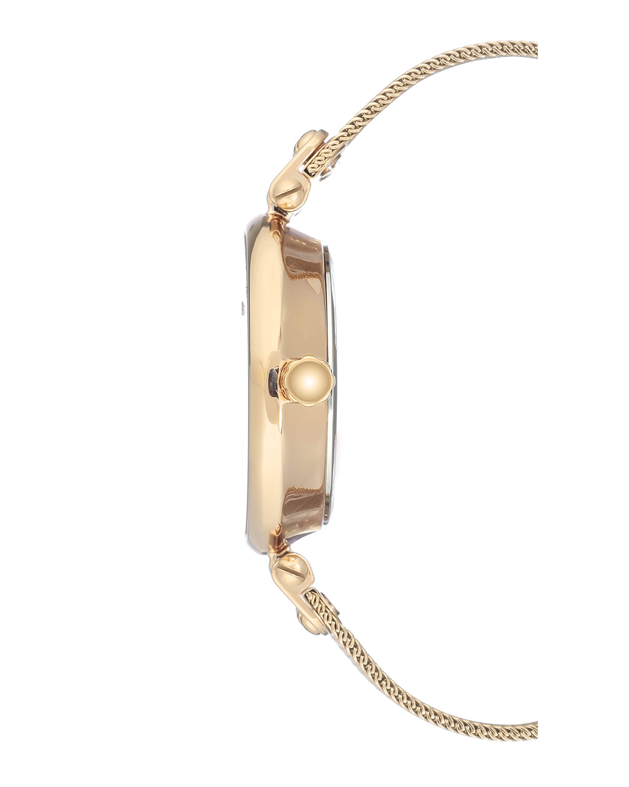 Anne Klein Women's Quartz Metal and Stainless Steel Dress Watch, Color:Gold-Toned