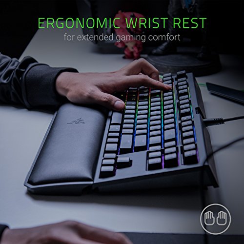 Razer BlackWidow TE Chroma v2 TKL Tenkeyless Mechanical Gaming Keyboard: Green Key Switches, Tactile & Clicky, Chroma RGB Lighting, Magnetic Wrist Rest, Programmable Macros, Classic Black