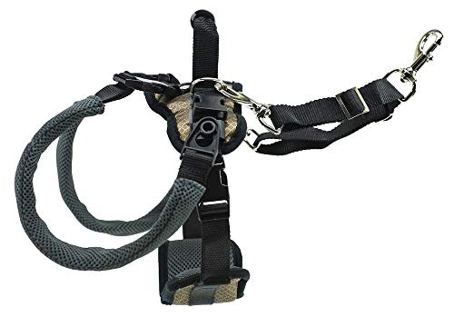PetSafe CareLift Rear Support Harness - Lifting Aid with Handle and Shoulder Strap - Great for Pet Mobility and Older Dogs - Comfortable, Breathable Material - Easy to Adjust - Medium, Black