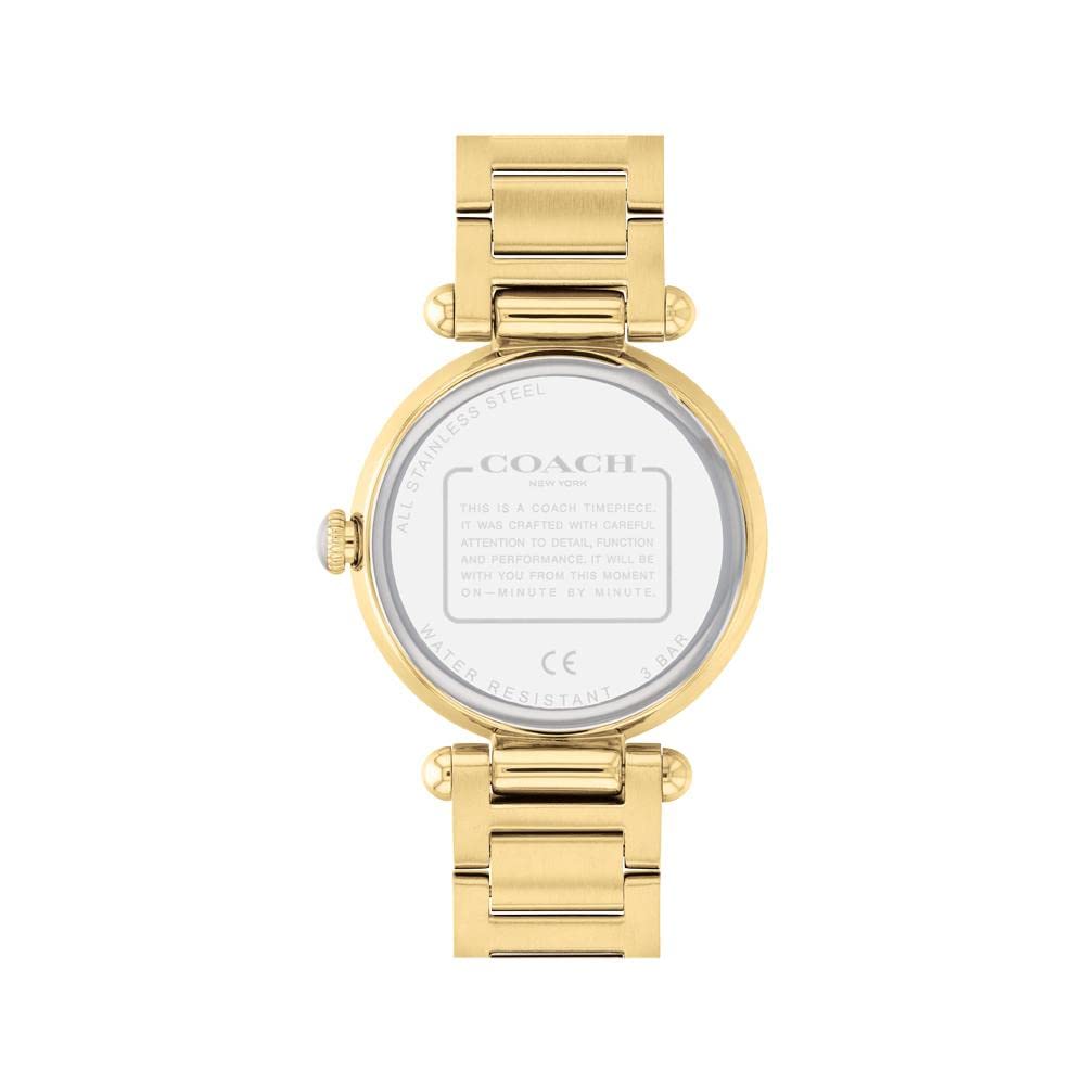 Coach Cary Women's Watch | Premium Fashion Timepiece for Her - Perfect for Day and Night | Water Resistant (Model 14503832)