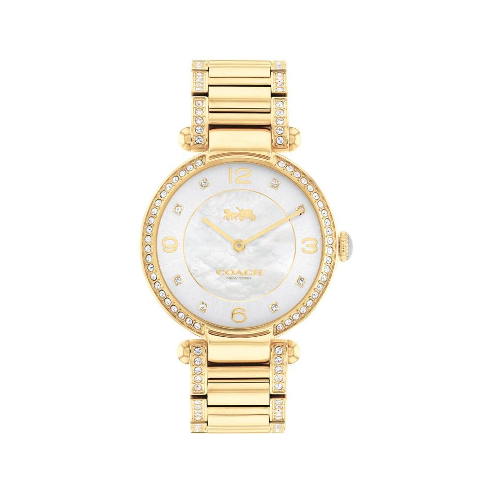 Coach Cary Women's Watch | Premium Fashion Timepiece for Her - Perfect for Day and Night | Water Resistant (Model 14503832)