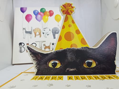 Crazytops Black Cat Birthday Card, 3D Birthday Card, Happy Birthday Pop Up Card with Envelope Postcards for Cat Lovers, Birthday Pop Up Card