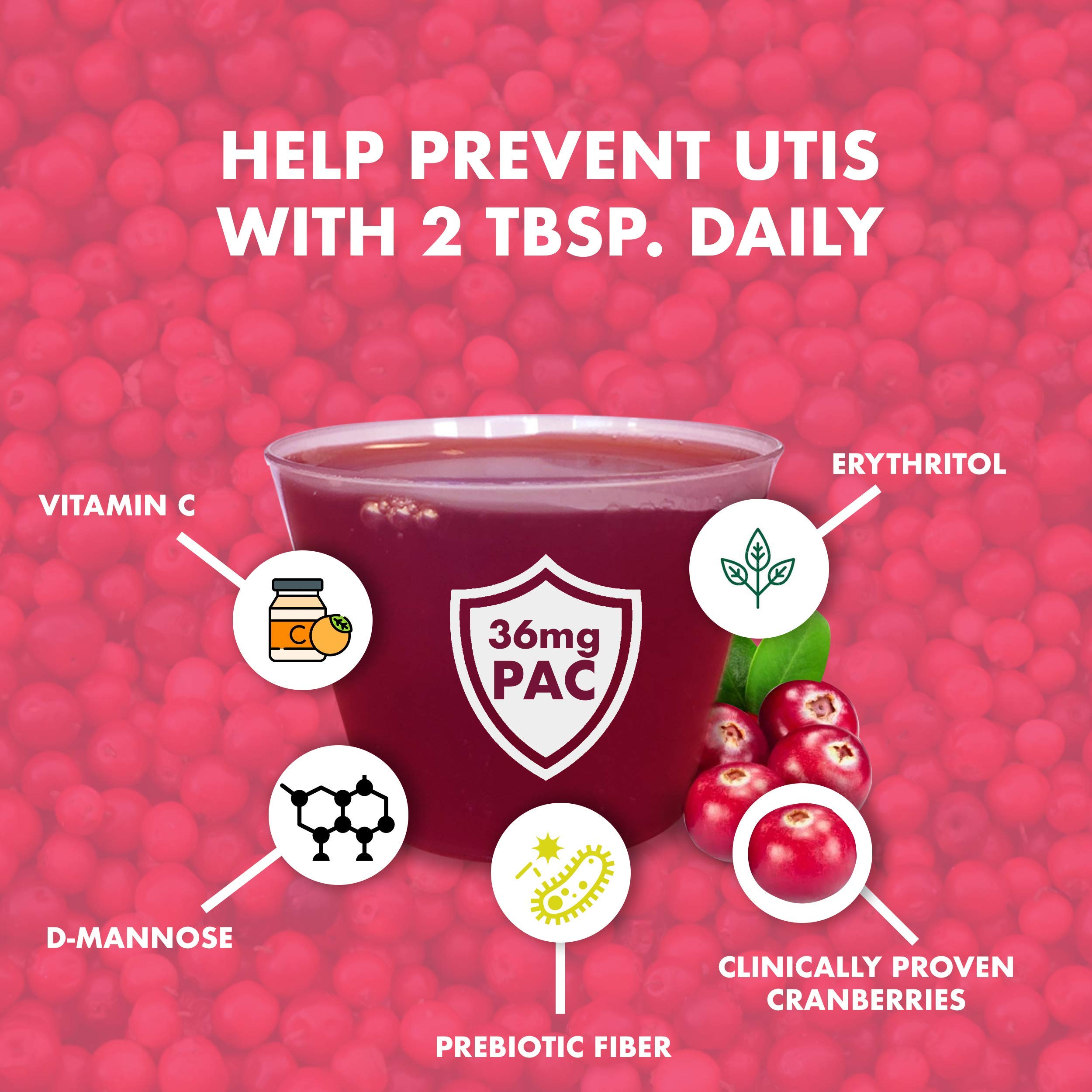 Nutritional Designs Cran-B-PAC Cranberry Supplement, Urinary Tract Health for Women Cranberry Concentrate Liquid with Vitamins, UTI Prevention for Women, Natural & Non GMO, 36mg PAC, 30 Oz Bottle